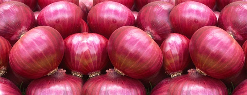 15 Amazing benefits of onion – daneelyunus
